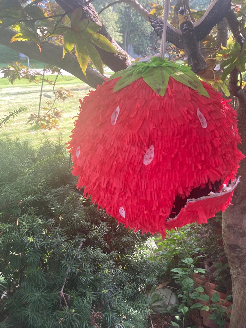 Strawberry Piñata- Small Fruit Piñata- Other Sizes by Request ...