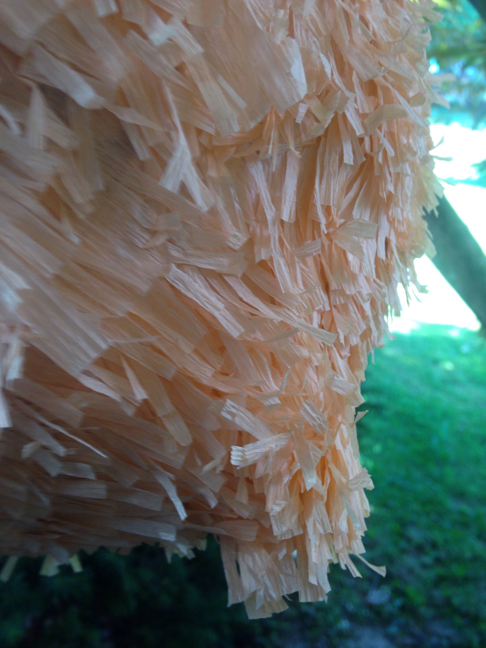 Peach Pinata - Fruit Pinata - Citrus Pinata - - Etsy