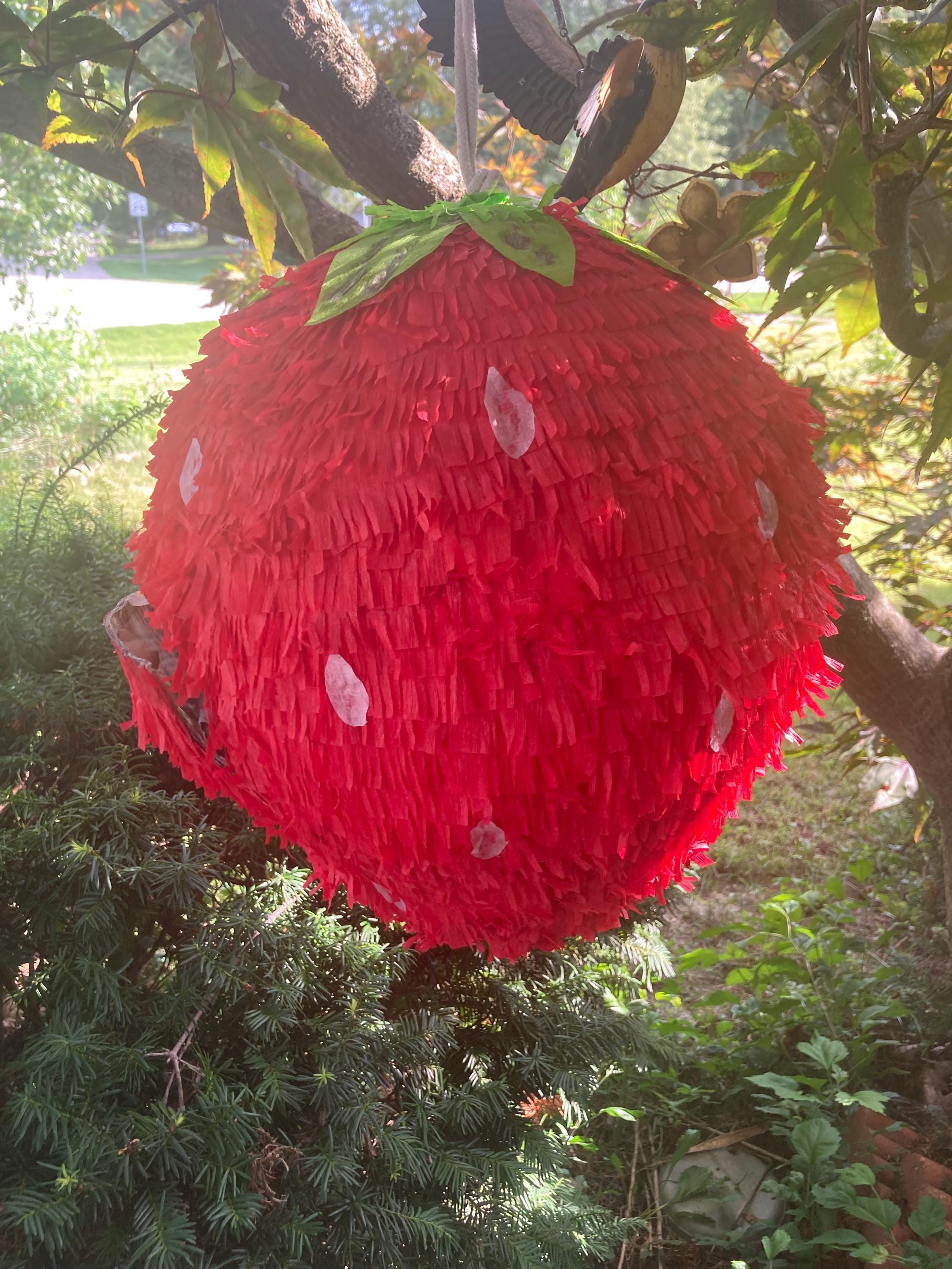 Strawberry Piñata- Small Fruit Piñata- Other Sizes by Request ...