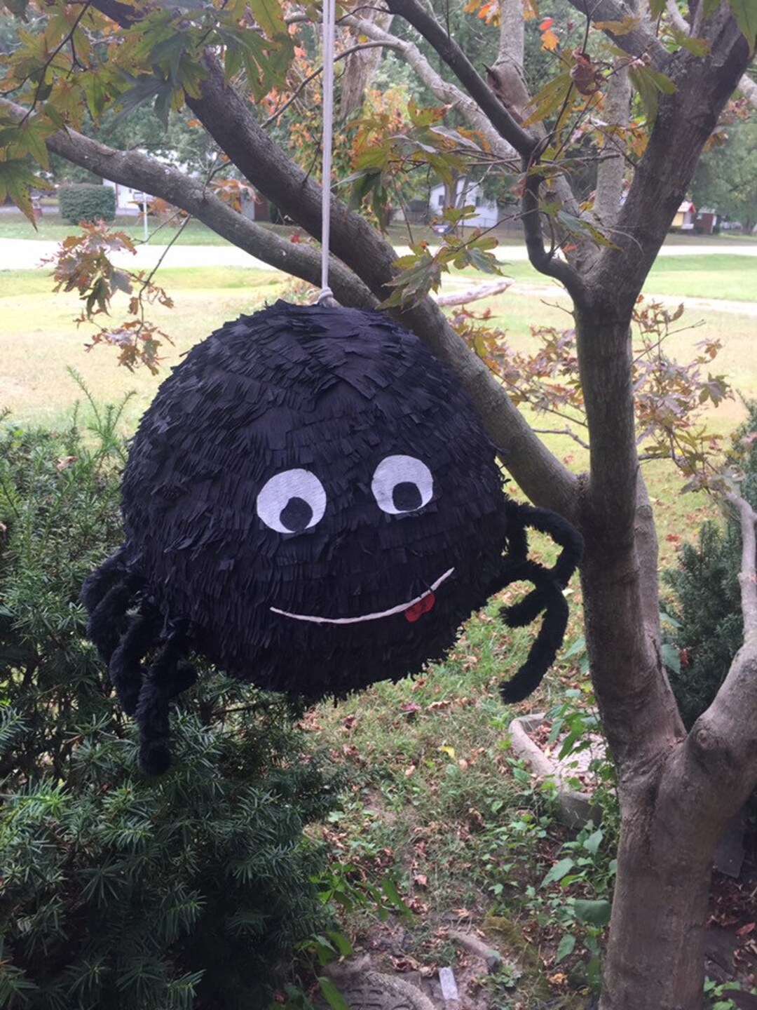 Halloween Spider Pinata - Spider Pinata - Halloween Party Pinata ...