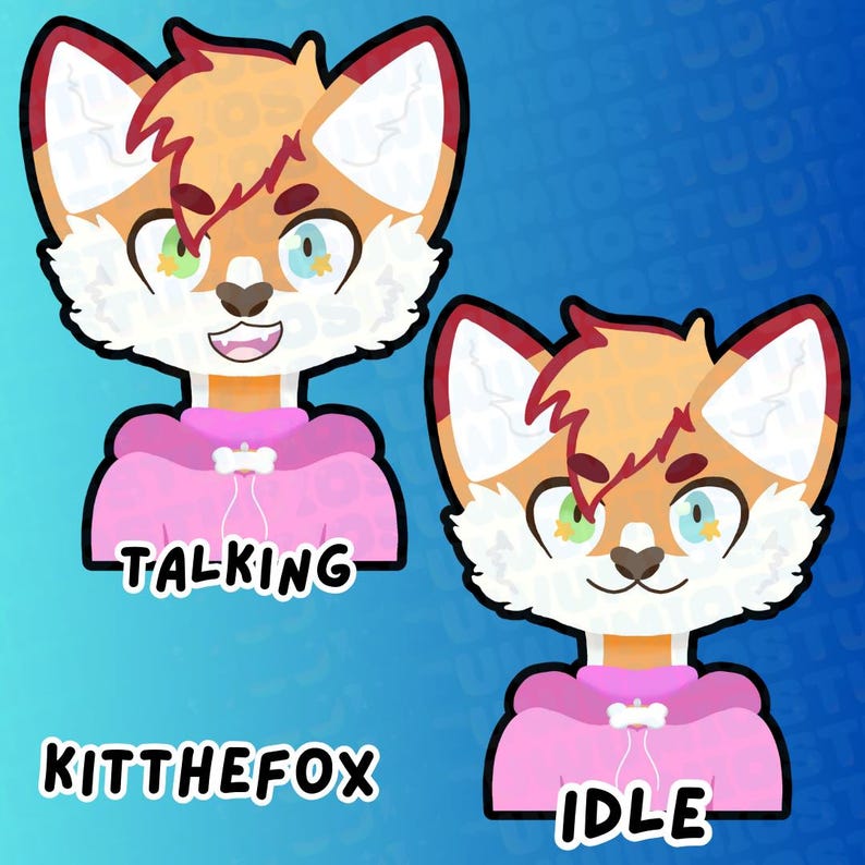 Custom Discord Reactive PNG Model 2frame Pngtuber for Streaming Idle+ ...