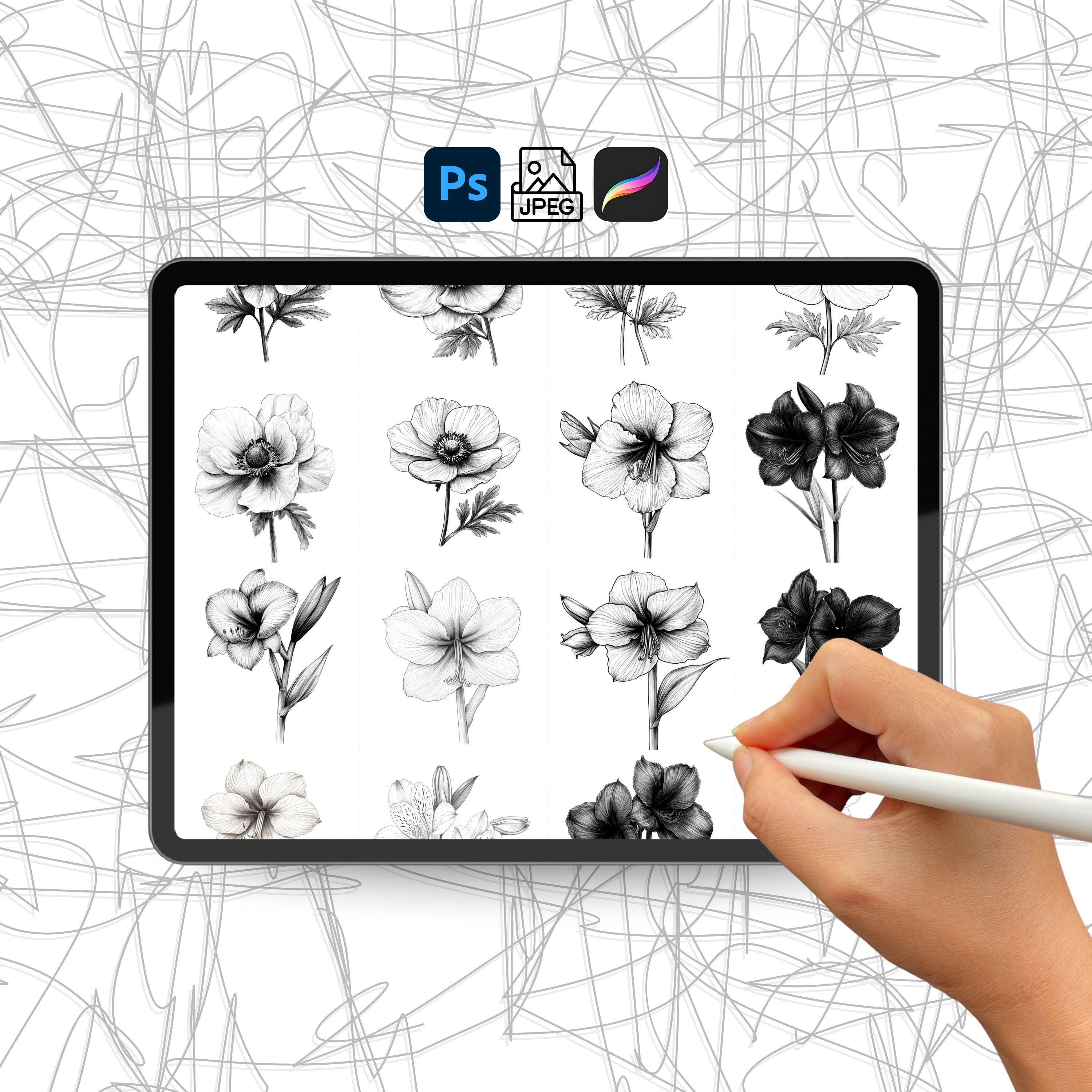 1000+ Flower Sketch Stamps, Procreate Flower Brushes, Photoshop Floral ...