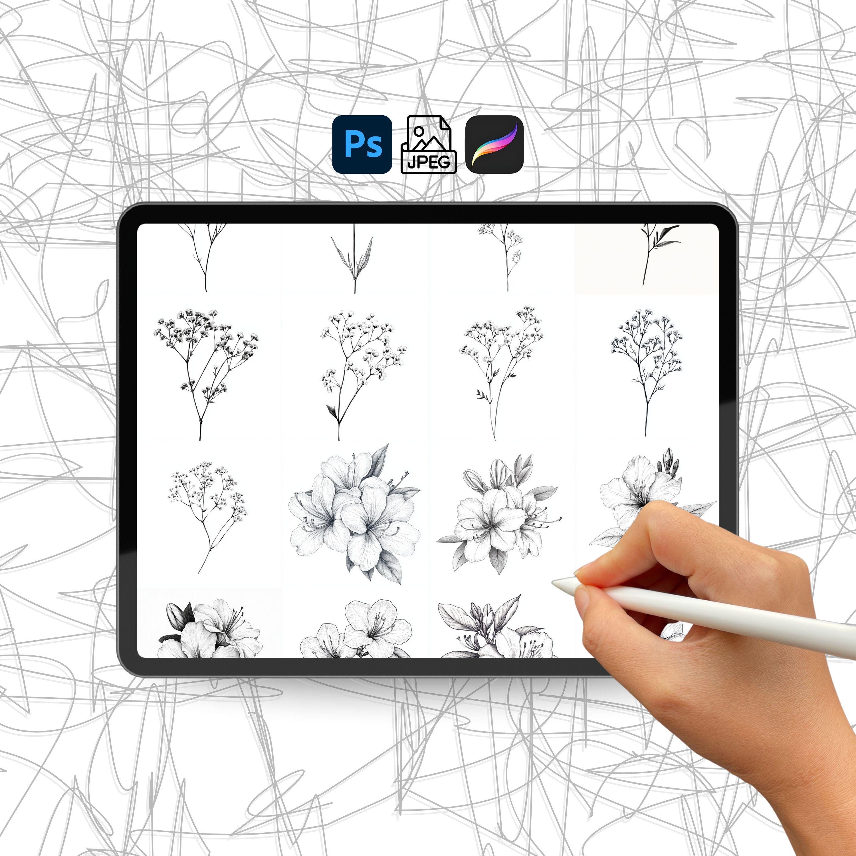 1000+ Flower Sketch Stamps, Procreate Flower Brushes, Photoshop Floral ...