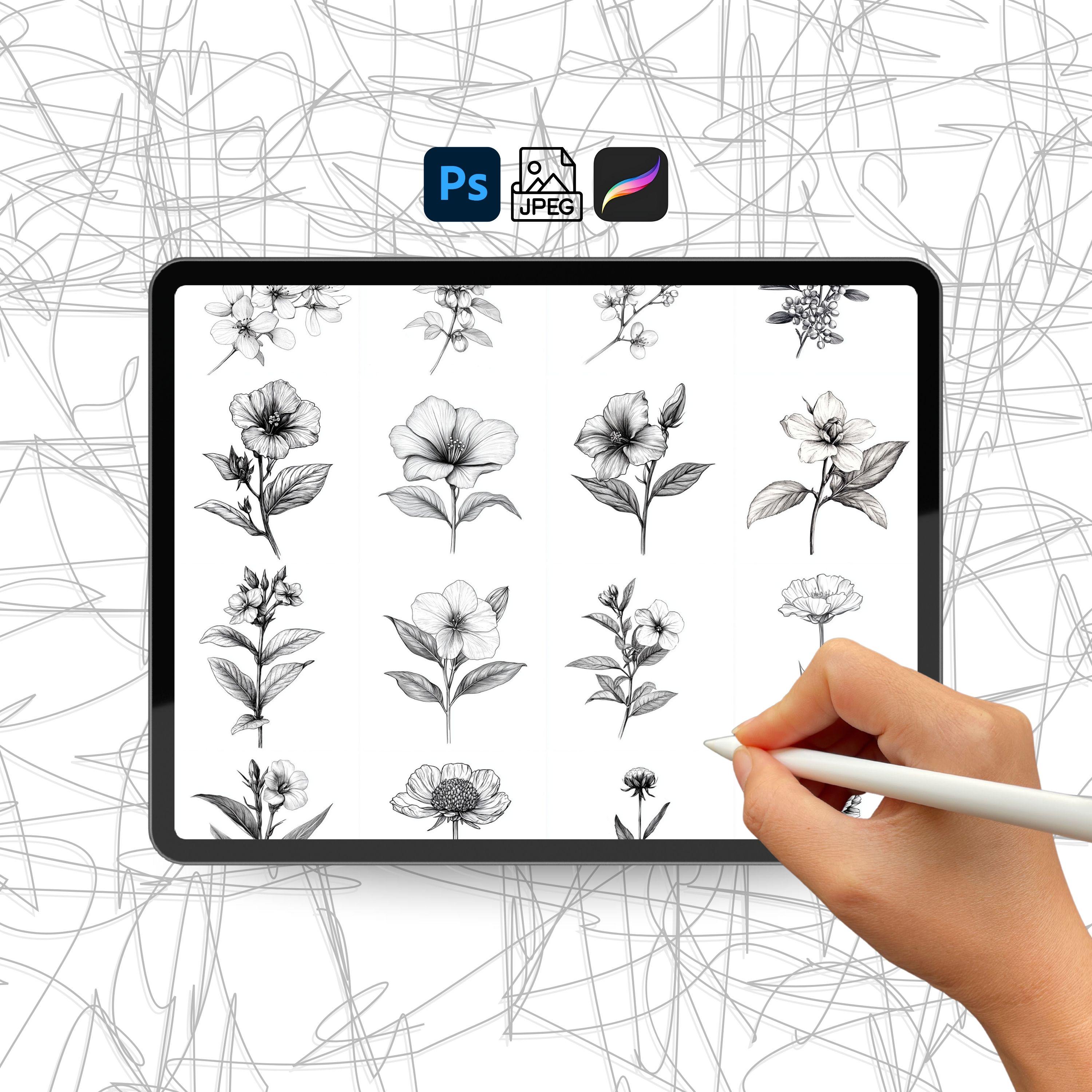 1000+ Flower Sketch Stamps, Procreate Flower Brushes, Photoshop Floral ...