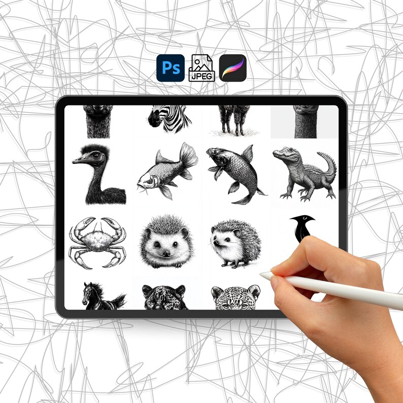 1000+ Animal Sketch Stamps, Procreate Animal Brushes, Photoshop ...