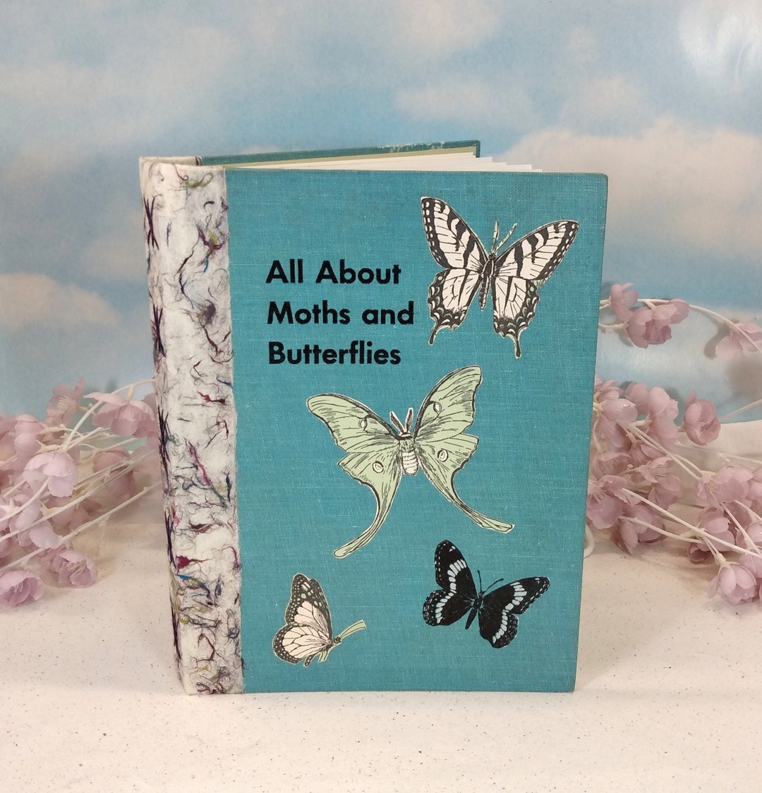 All About Moths and Butterflies Sketchbook Journal From Vintage 1956 ...