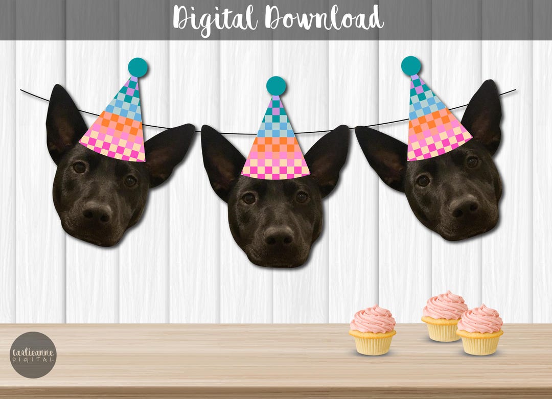 Pet Birthday Banner, Checker Dog Party Hat, Custom Dog Decor Face ...