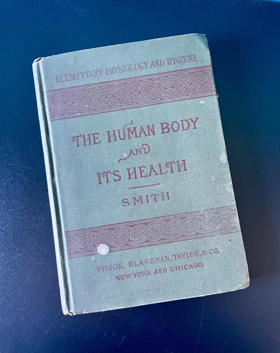 1884 the Human Body and Its Health by William Thayer Smith - Etsy