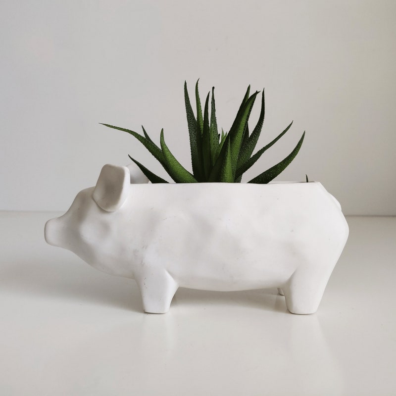 Pig Planter - Etsy