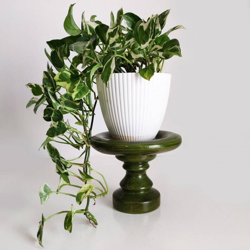 Plant Riser - Etsy