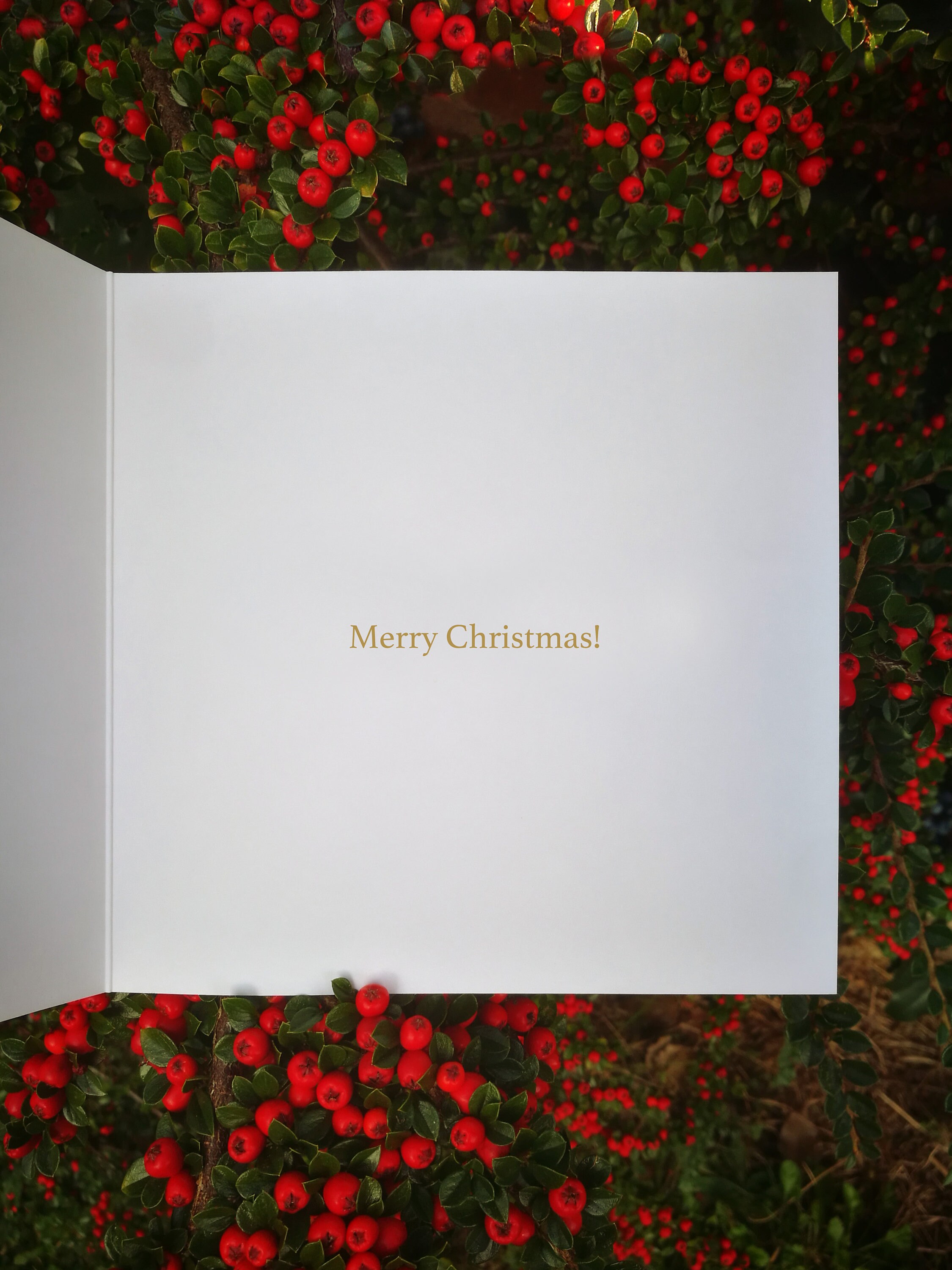 5x Mac Birmingham Christmas Cards - Etsy UK