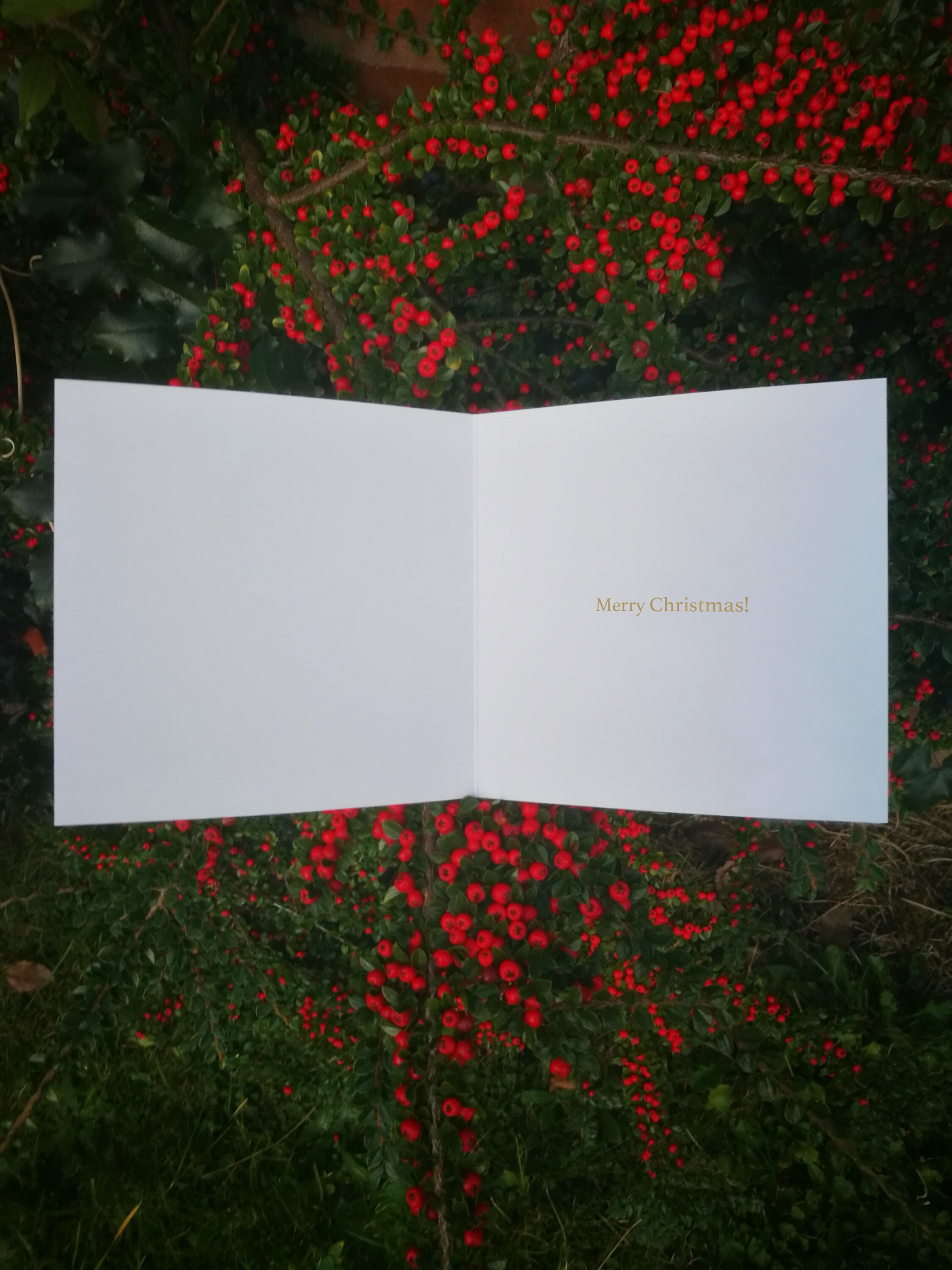 5x Mac Birmingham Christmas Cards - Etsy UK