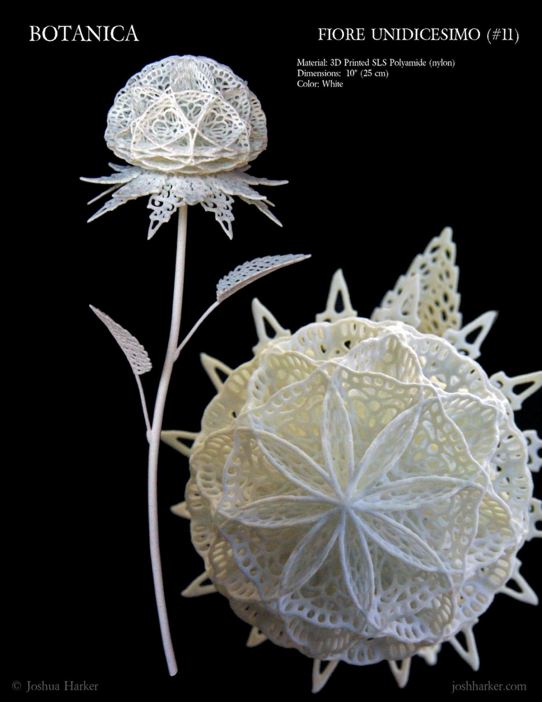 Fiore Unidicesimo - 3d Printed Filigree Flower by Joshua Harker - Etsy