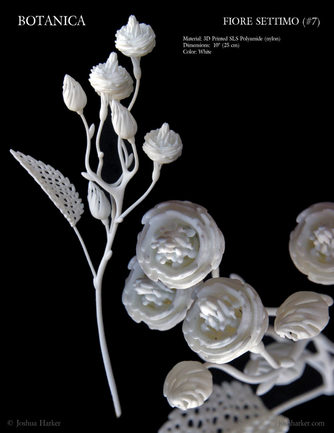Fiore Settimo - 3d Printed Filigree Flower by Joshua Harker - Etsy