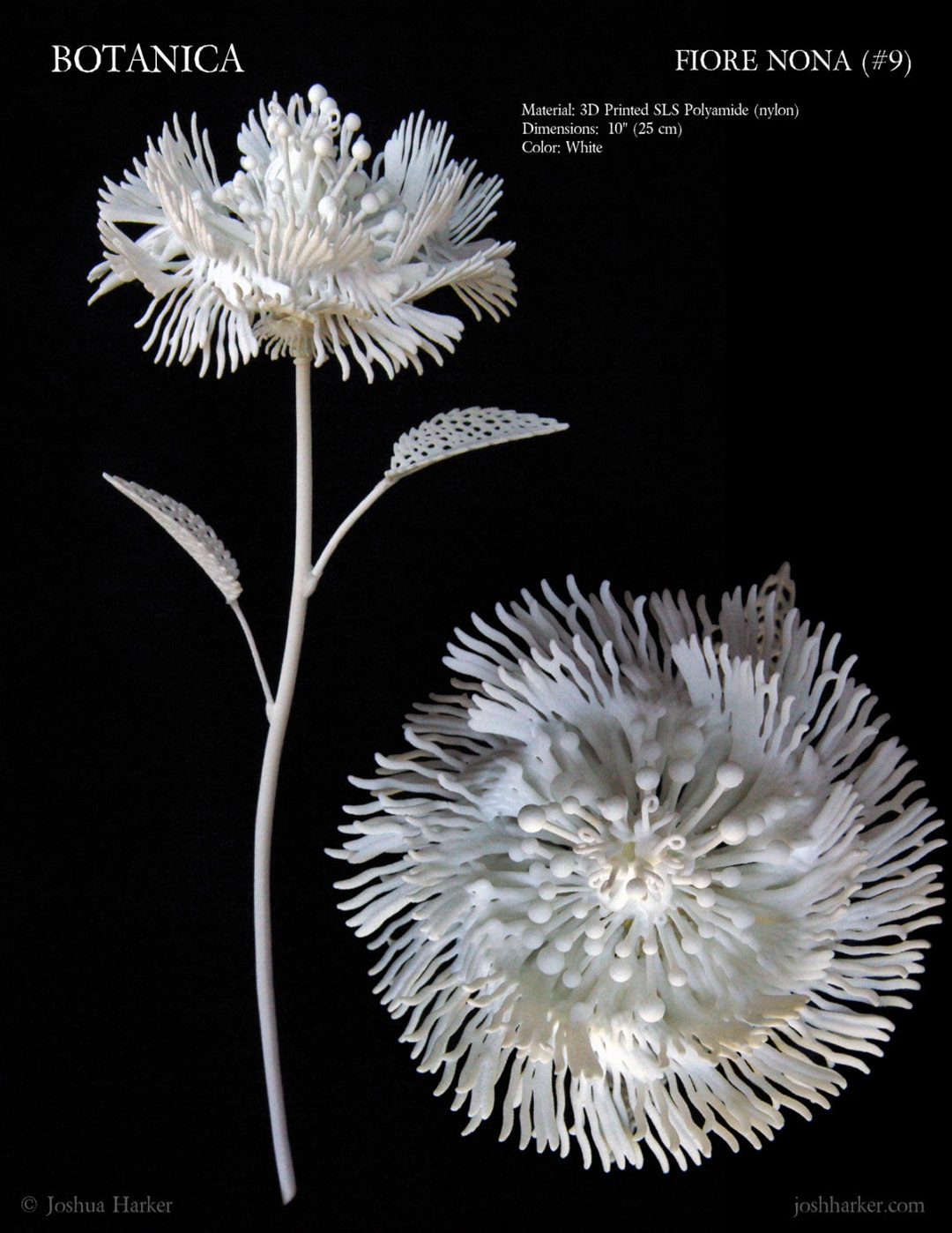 Fiore Nona - 3d Printed Filigree Flower by Joshua Harker - Etsy