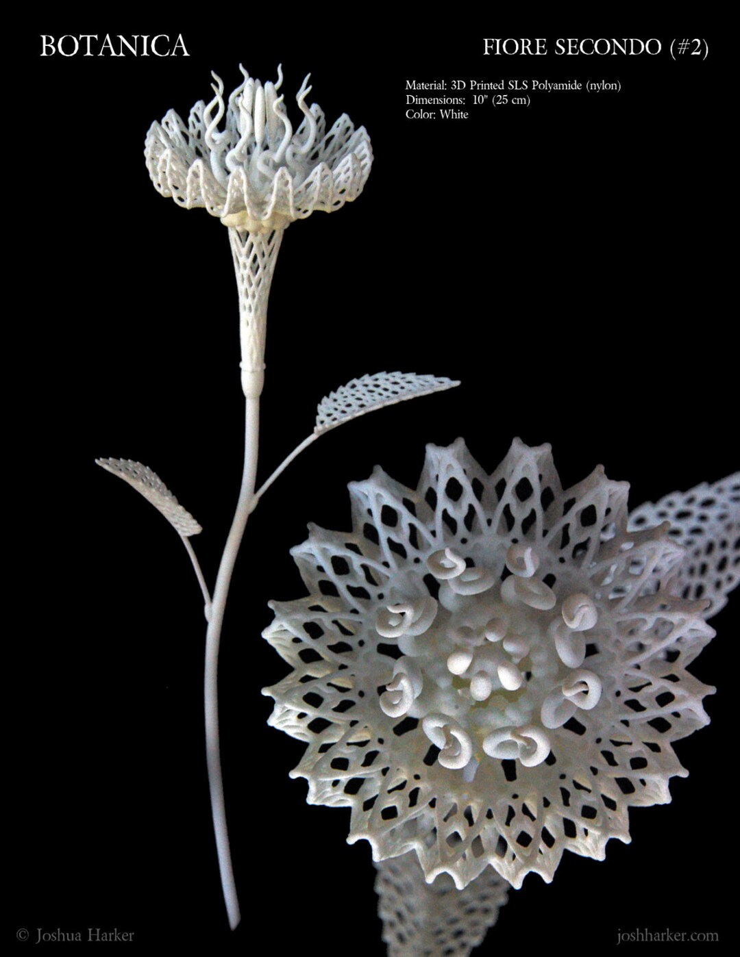 Fiore Secondo - 3d Printed Filigree Flower by Joshua Harker - Etsy