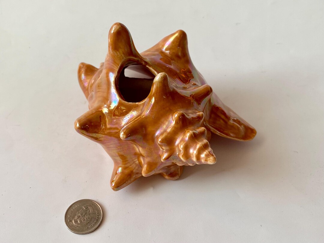 Vintage Large Ceramic Conch Sea Shell, Ocean Beach Decor, Iridescent ...