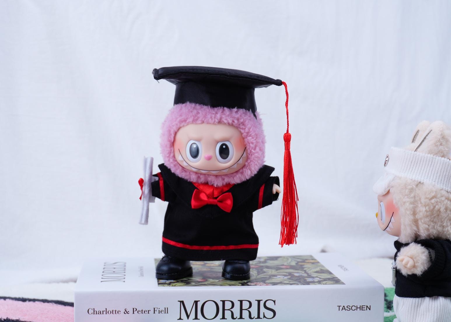 Adorable Labubu Clothes - Graduation, Students Graduation Clothing Hat ...