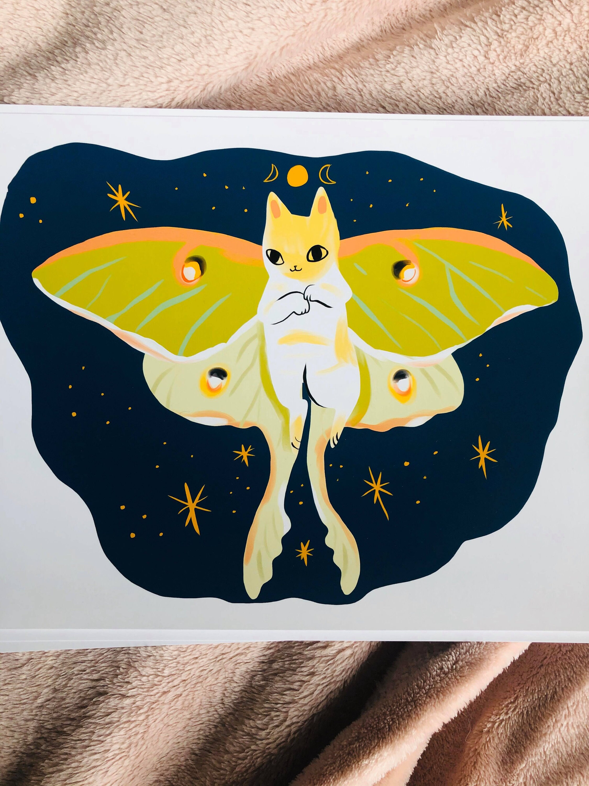 The Moth Cats Vol 2. 8x10 Size Prints - Etsy