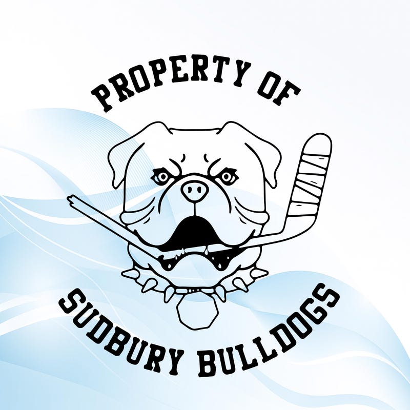 Dog Hockey Cards - Etsy