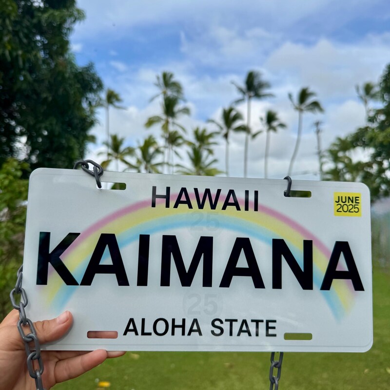 Hawaii Plate Lei - Etsy
