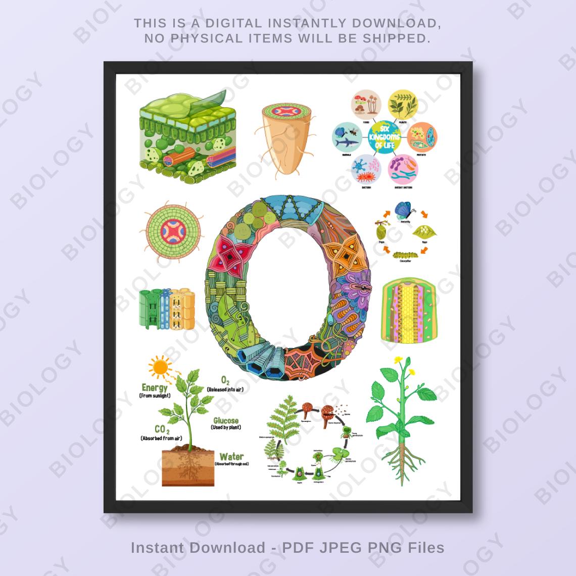 Biology Classroom Posters: Educational Science Gallery Wall Art ...