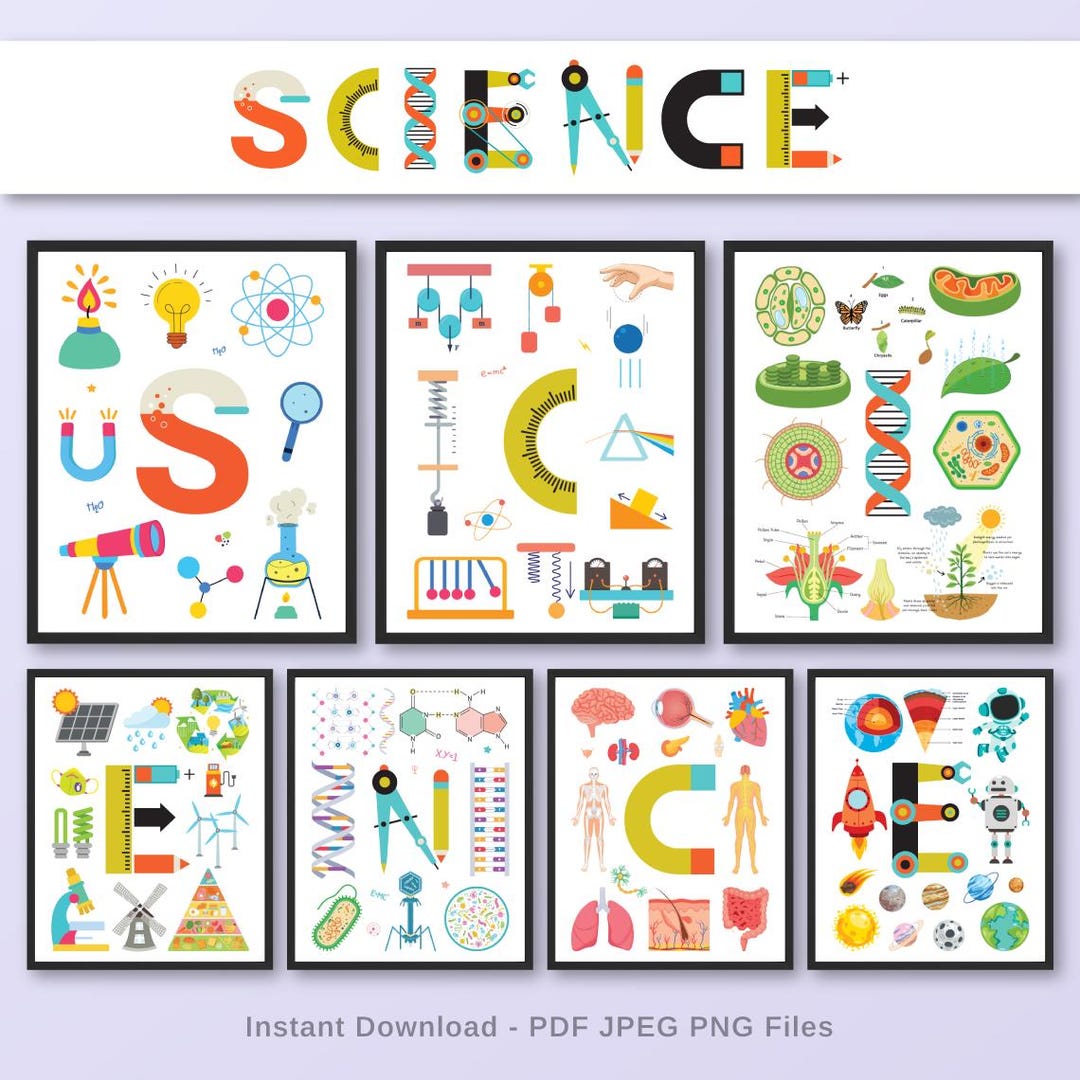 Science Classroom Posters: Physics, Chemistry, Biology, Anatomy Wall ...
