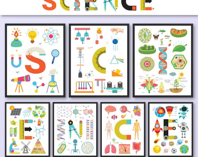 Graphs and Charts Set of 8 Posters Math Science Biology Classroom ...