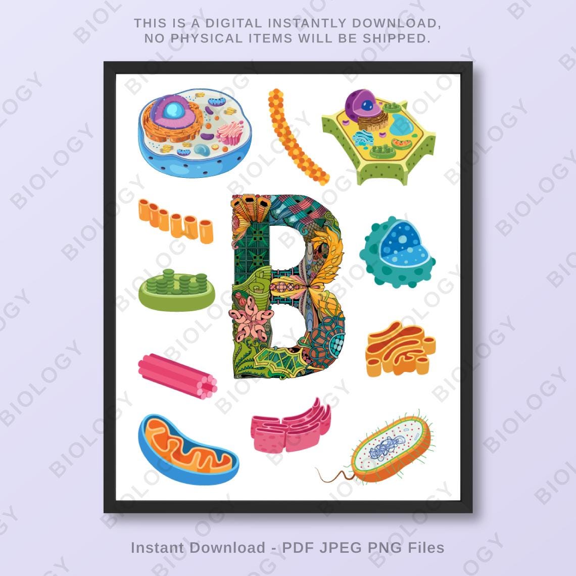 Biology Classroom Posters: Educational Science Gallery Wall Art ...