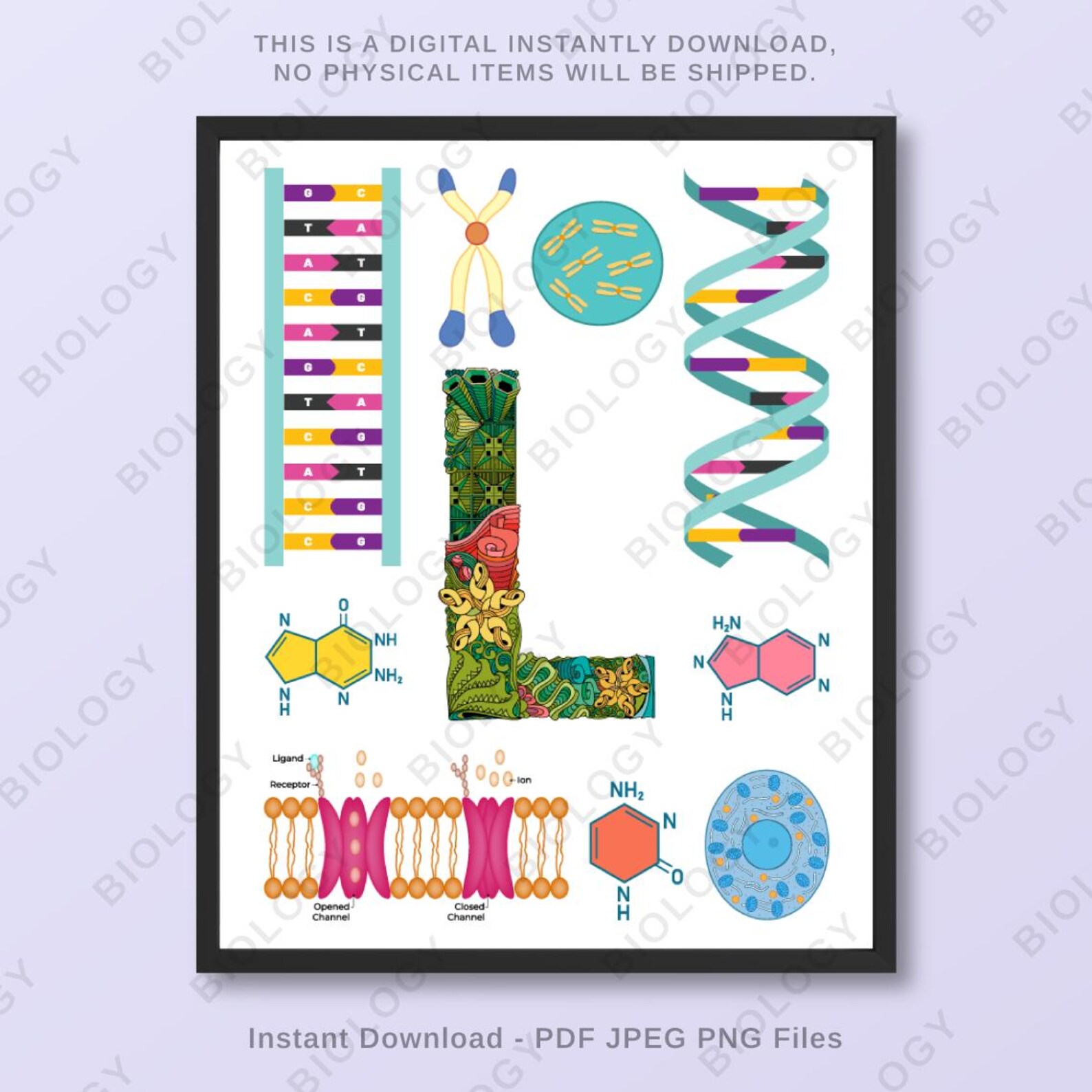 Biology Classroom Posters: Educational Science Gallery Wall Art ...