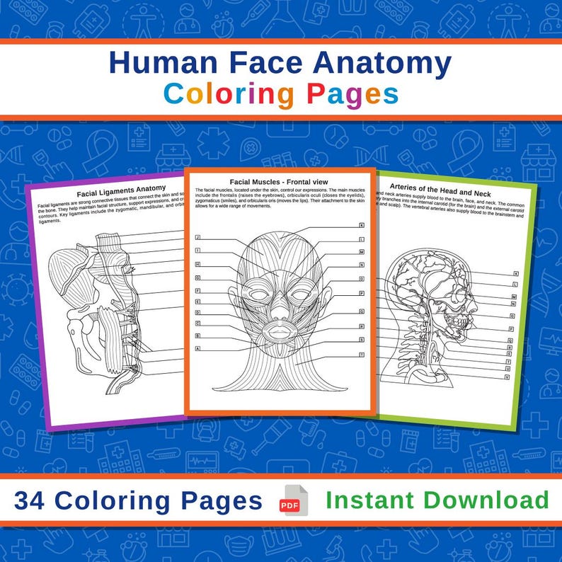 Human Face Anatomy Coloring Book: Learn Facial Anatomy With Labeling ...