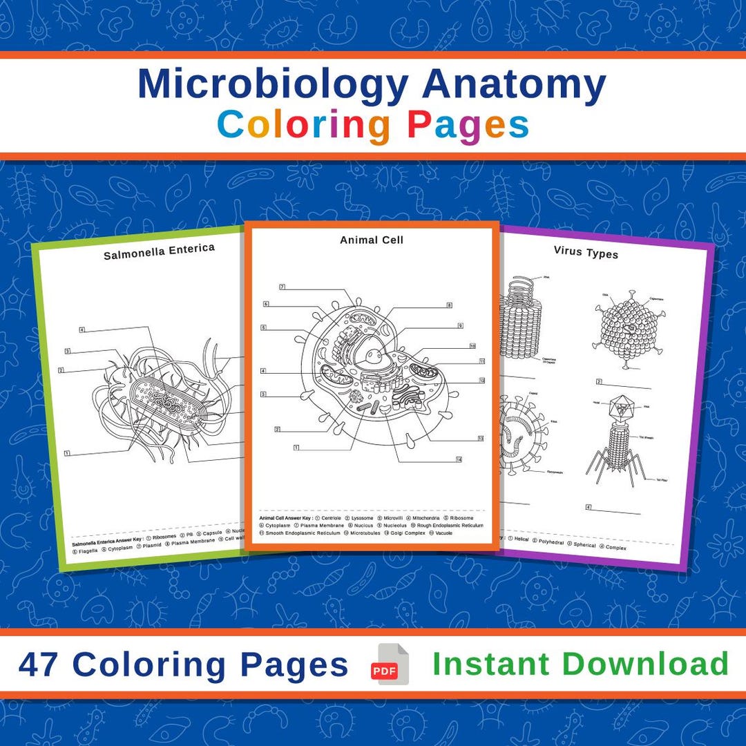 A Visual Guide to Exploring and Learning the Anatomy of Microbiology by ...
