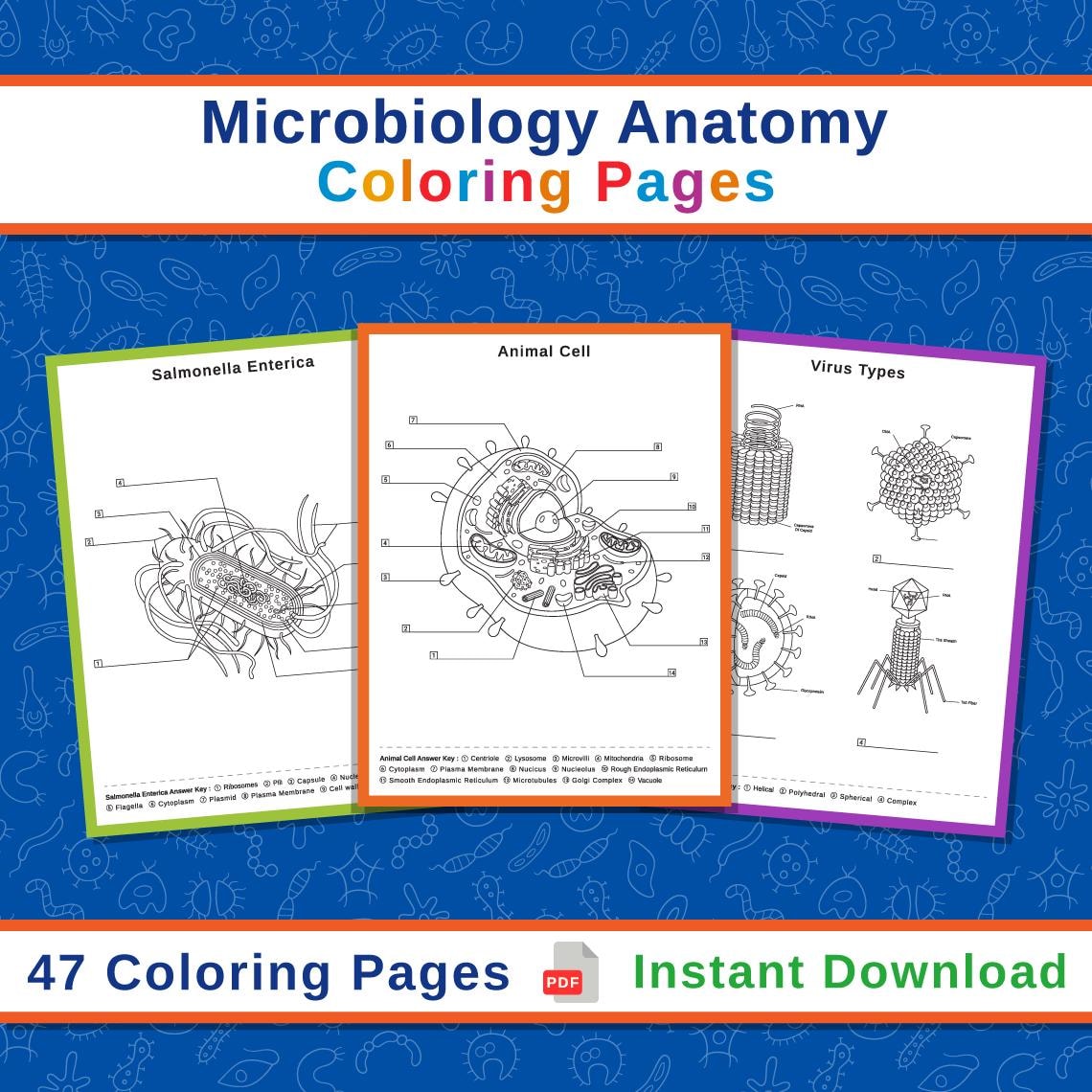 A Visual Guide to Exploring and Learning the Anatomy of Microbiology by ...