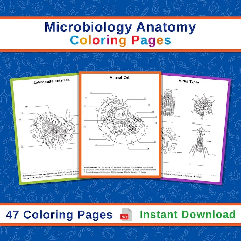 A Visual Guide to Exploring and Learning the Anatomy of Microbiology by ...