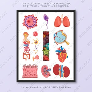 Biology Classroom Posters: Educational Science Gallery Wall Art ...
