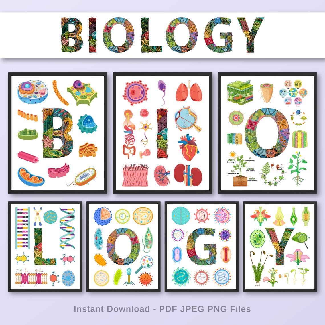Biology Classroom Posters: Educational Science Gallery Wall Art ...