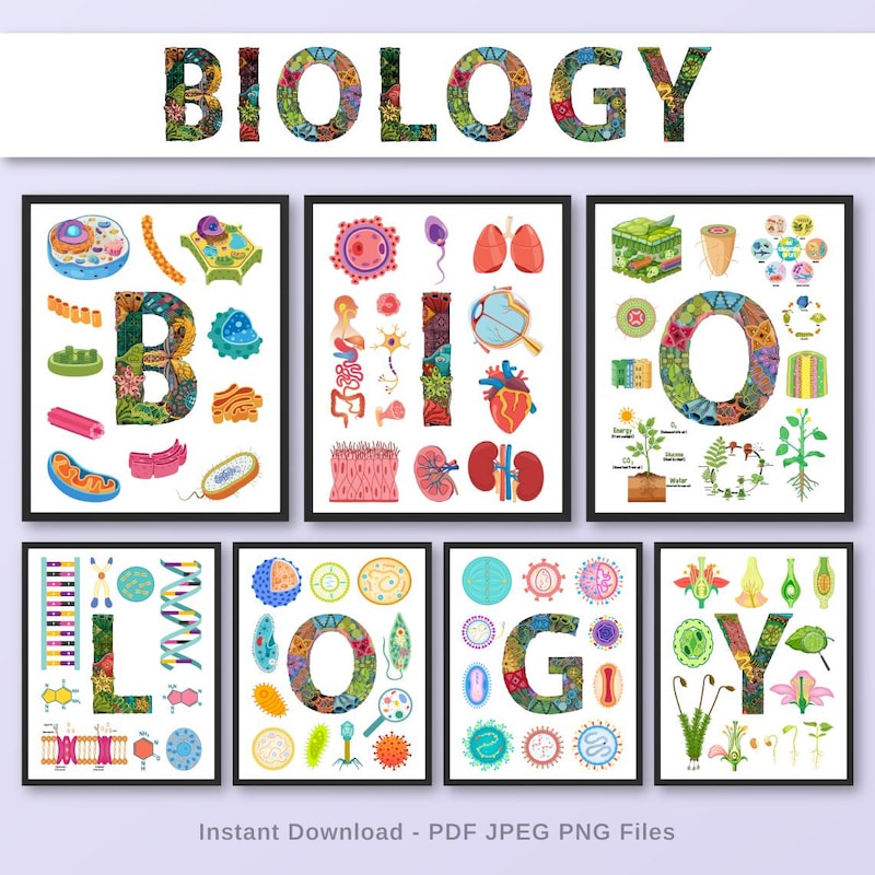 Biology Poster - Etsy