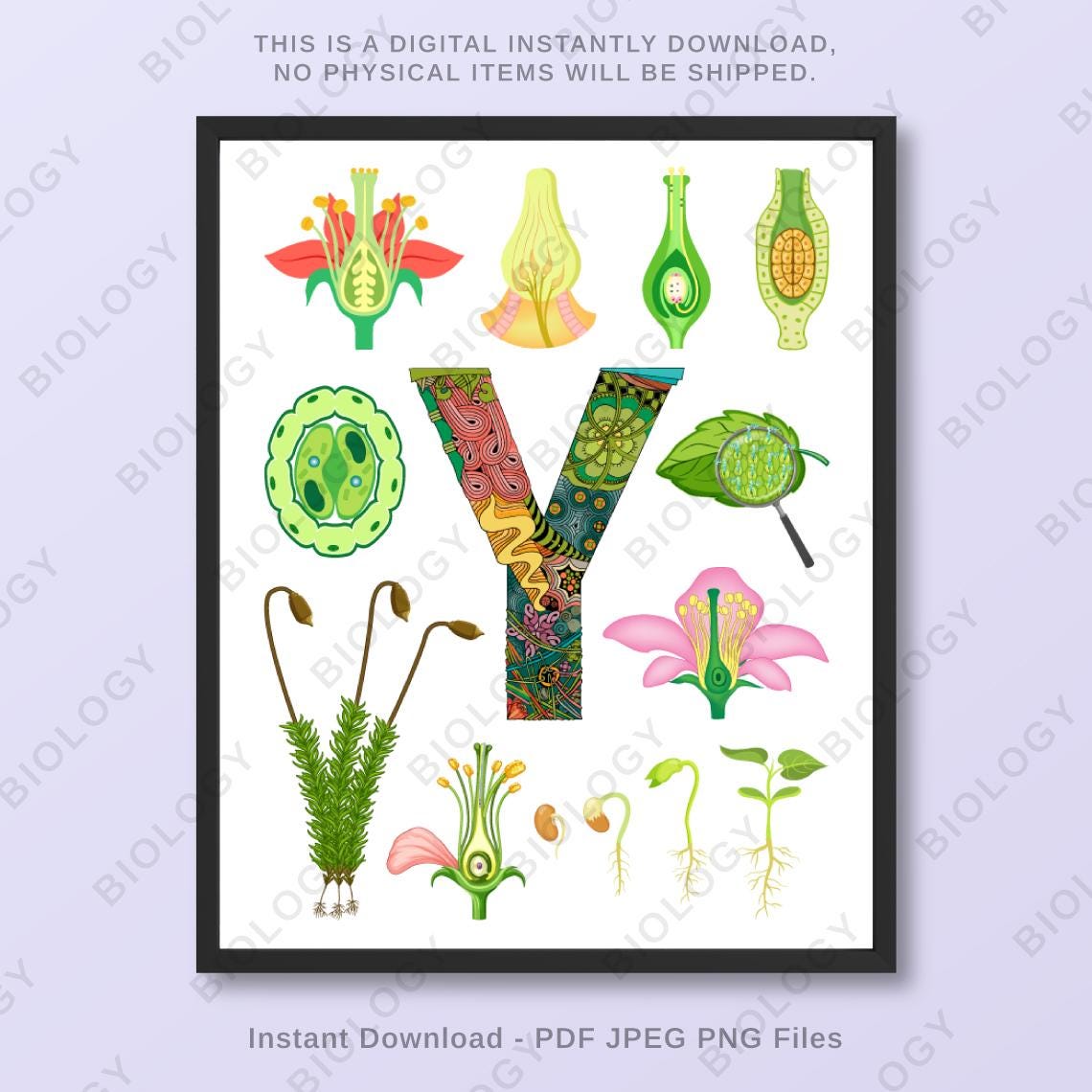 Biology Classroom Posters: Educational Science Gallery Wall Art ...