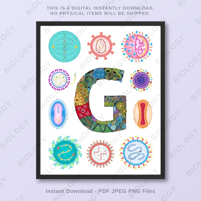 Biology Classroom Posters: Educational Science Gallery Wall Art ...