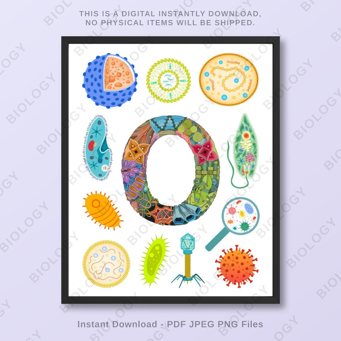 Biology Classroom Posters: Educational Science Gallery Wall Art ...