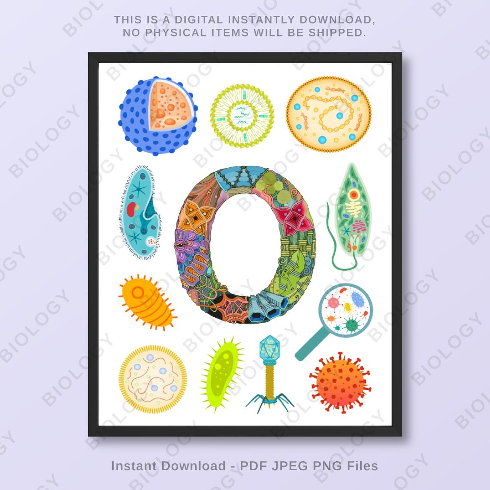 Biology Classroom Posters: Educational Science Gallery Wall Art ...