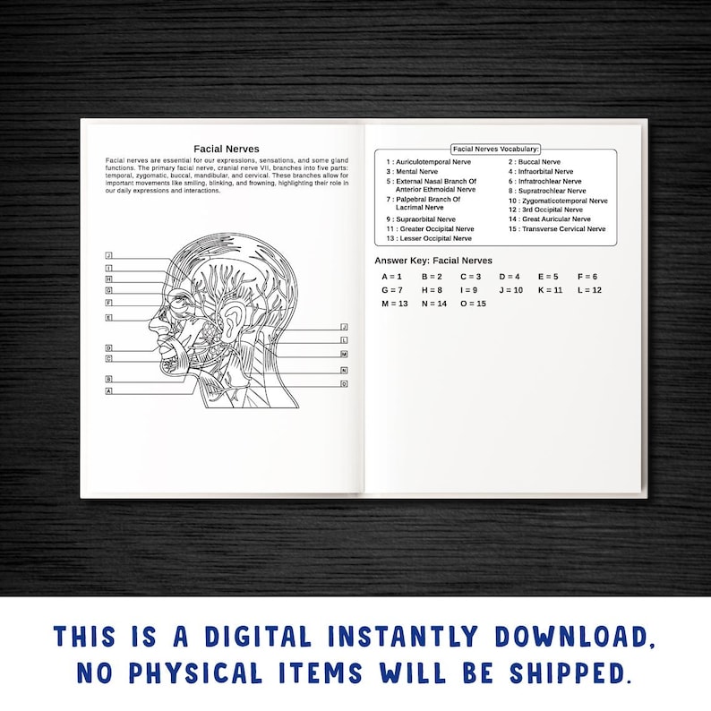 Human Face Anatomy Coloring Book: Learn Facial Anatomy With Labeling ...