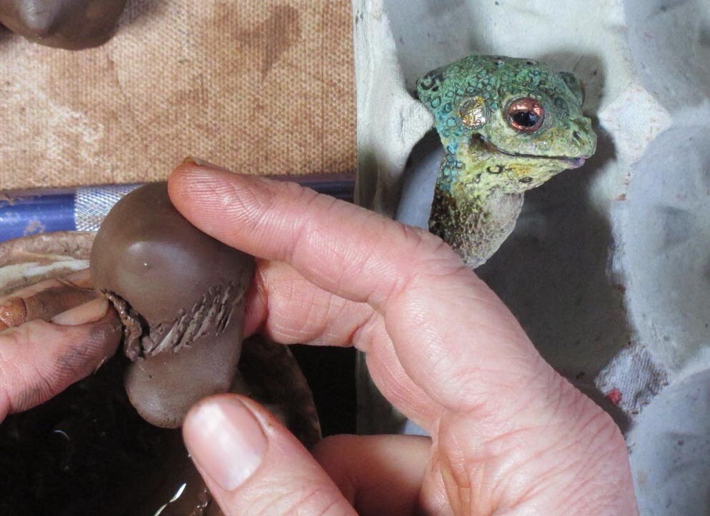 INSTANT DOWNLOAD: PDF Frog Tutorial Excerpt From Direct-sculpting ...