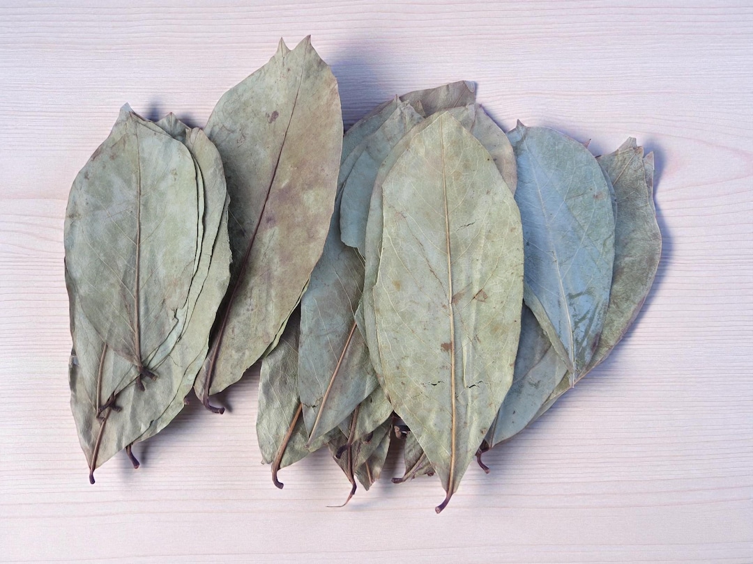 Dried Natural Graviola Soursop Tea Herb Leaves Powder,hojas De ...