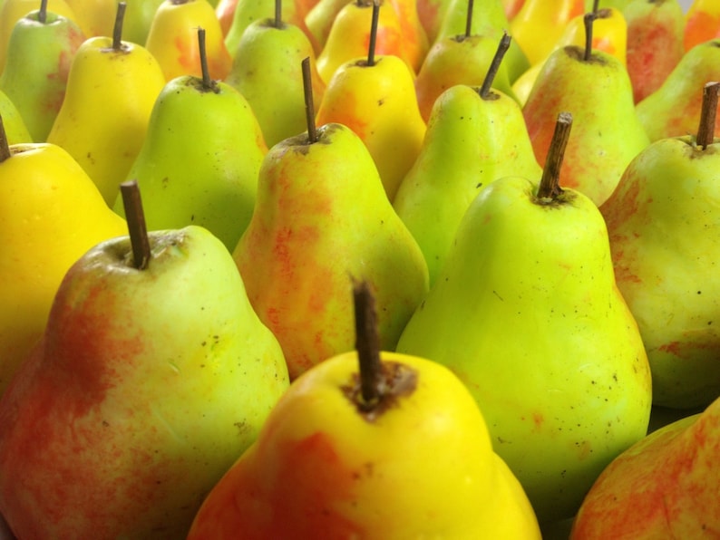 Juicy Pear Soap / Fruit Soap/soap Art / Food Soap / Fake Food Soap ...