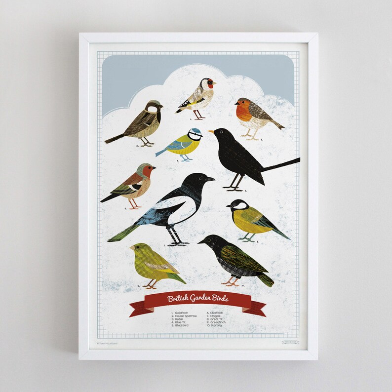 A2 British Garden Birds Poster - Etsy