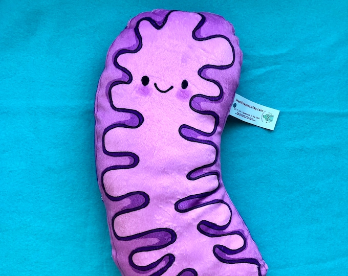 PURPLE Mitochondria Powerhouse Pillow/ Biology Plush Toy/ PURPLE Blue ...