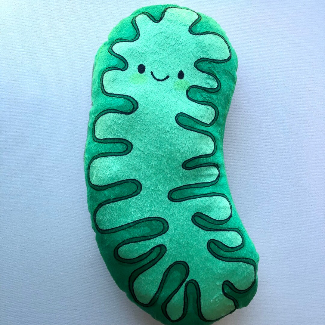 GREEN Mitochondria Pillow: XL Science Plushie, Biology Toy Gift Plush ...