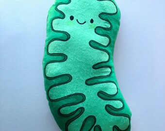 Mitochondria Powerhouse Pillow/ Biology Plush Toy/ Turquiose | Etsy