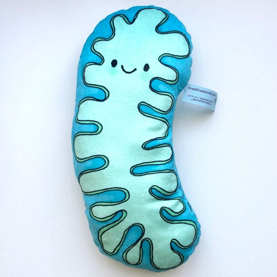 Mitochondria Powerhouse Pillow Biology Plush Toy Turquiose Blue Science Lab Plushie Etsy